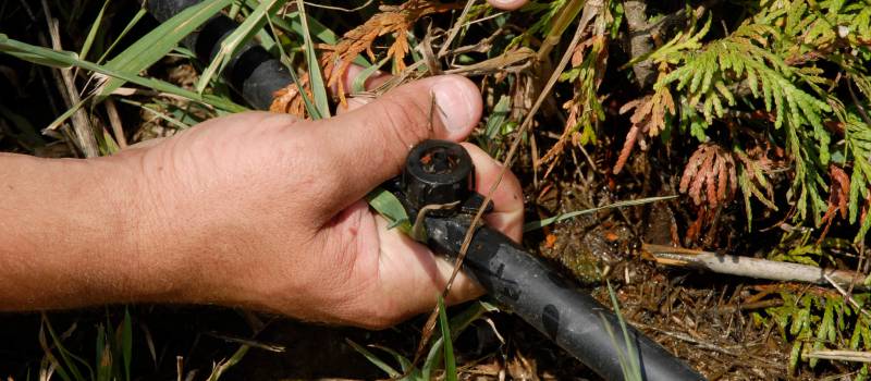 Irrigation Systems Installation Tips