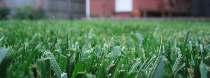 Lawn Application Options (automatic vs. manual)