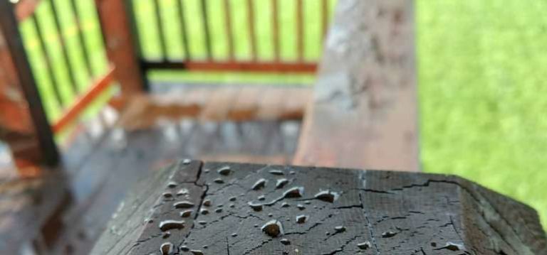 Lacquer vs. Polyurethane: When to Use Each Finish?