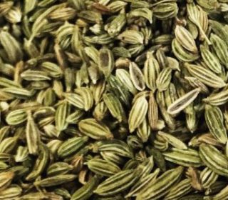 H2ouse - Home and Garden