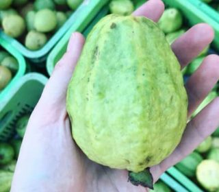 H2ouse - Home and Garden