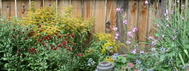 Low Water Use Garden - H2ouse.org