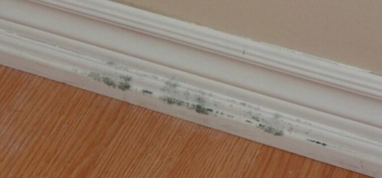 COREtec Plus Problems