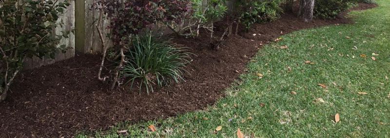 Mulching and Soil Improvement