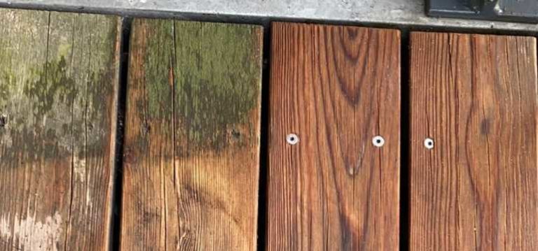 How to Get Rid of Wood Mites