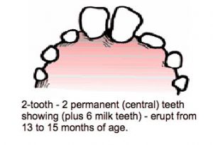 How Long Do Goats Live? An Easy Guide on the Lifespan of a Goat