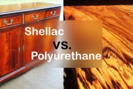 Staining Birch Plywood: Facts Before You Start