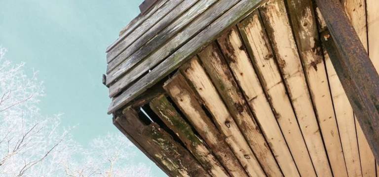 How to Stop Wood Rot: Causes, Concerns, and Cures